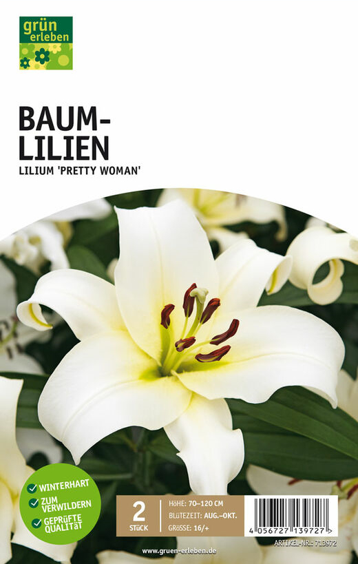 Baum Lilien Bilder