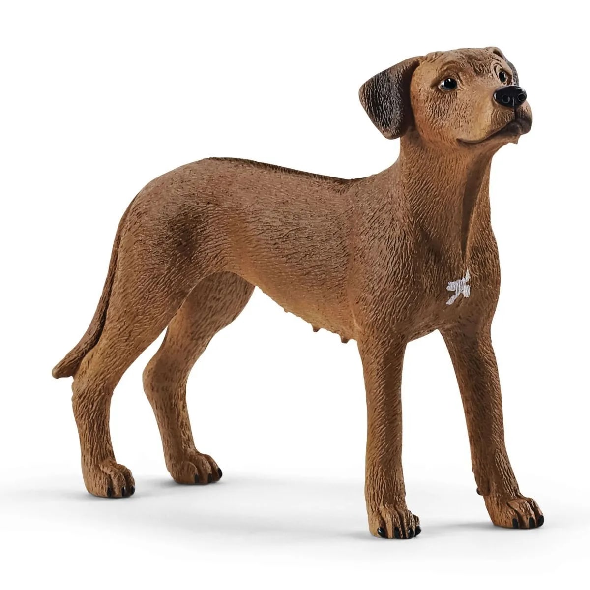 Schleich Rhodesian Ridgeback | Online-Gartencenter